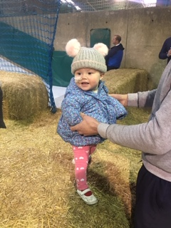 Super Super Emily's Supershoes